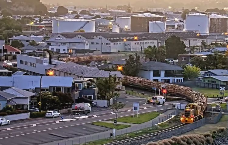 KiwiRail new daily log train to Napier port | Latest Railway News