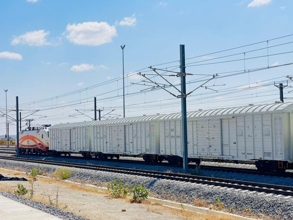 SGR in Tanzania with freight trains | Latest Railway News