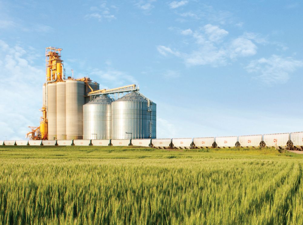 CN plans to move 29.5 MMT of grain in 2025-2026 | Latest Railway News